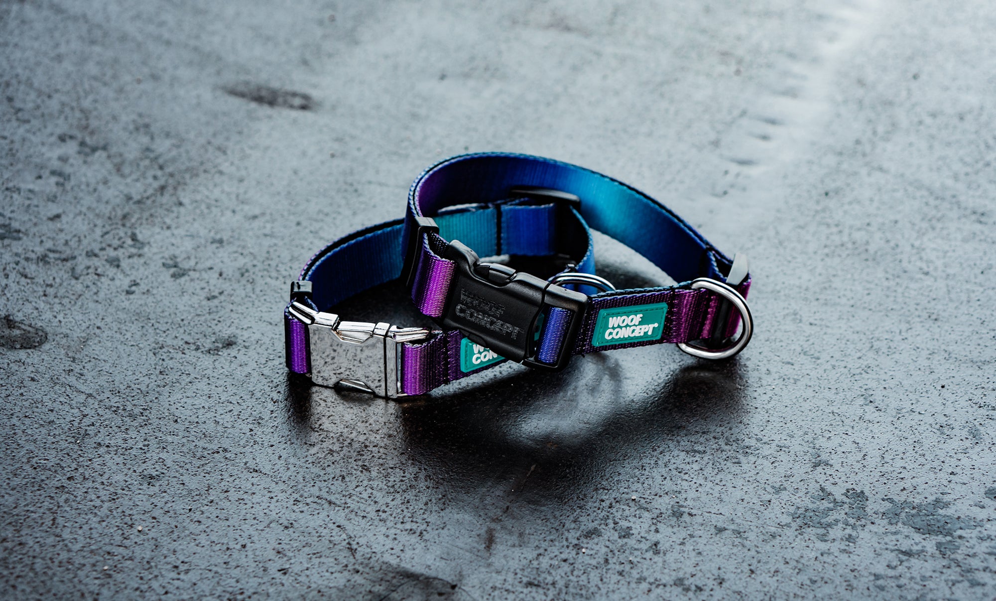 The Ultimate Guide to Choosing the Right Collar for Your Dog's Breed ...
