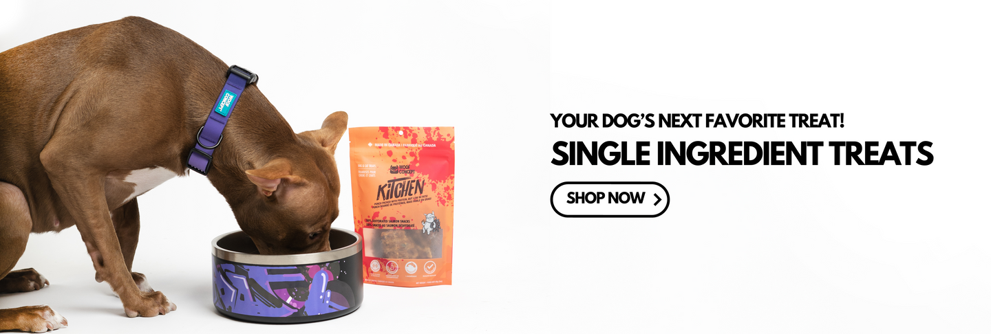 Woof Concept - Made in Canada Dog Leashes, Collars and Harnesses – Woof ...