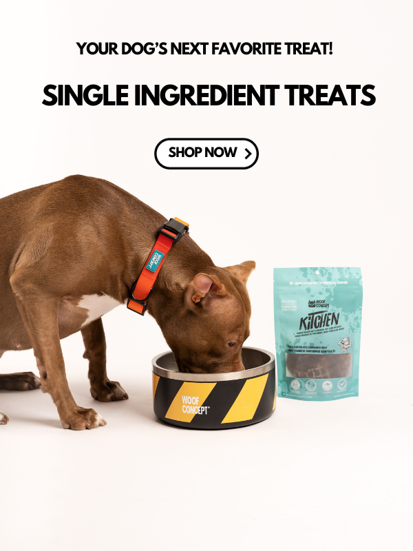 Woof Concept - Made in Canada Dog Leashes, Collars and Harnesses – Woof ...