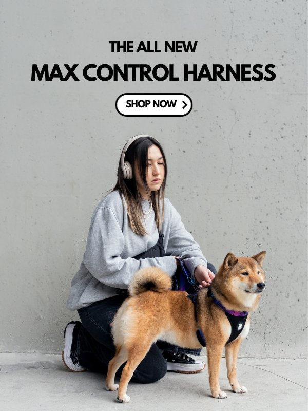 Woof Concept - Made in Canada Dog Leashes, Collars and Harnesses – Woof ...