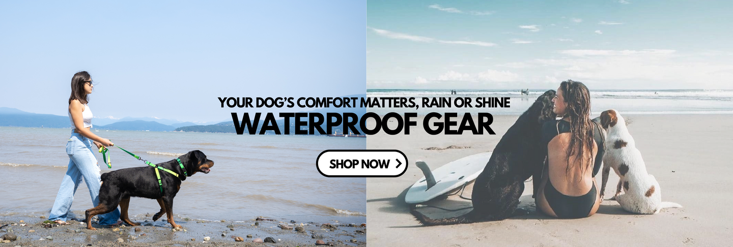 Woof Concept - Made in Canada Dog Leashes, Collars and Harnesses – Woof ...