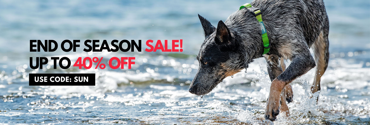 Woof Concept - Made in Canada Dog Leashes, Collars and Harnesses – Woof ...